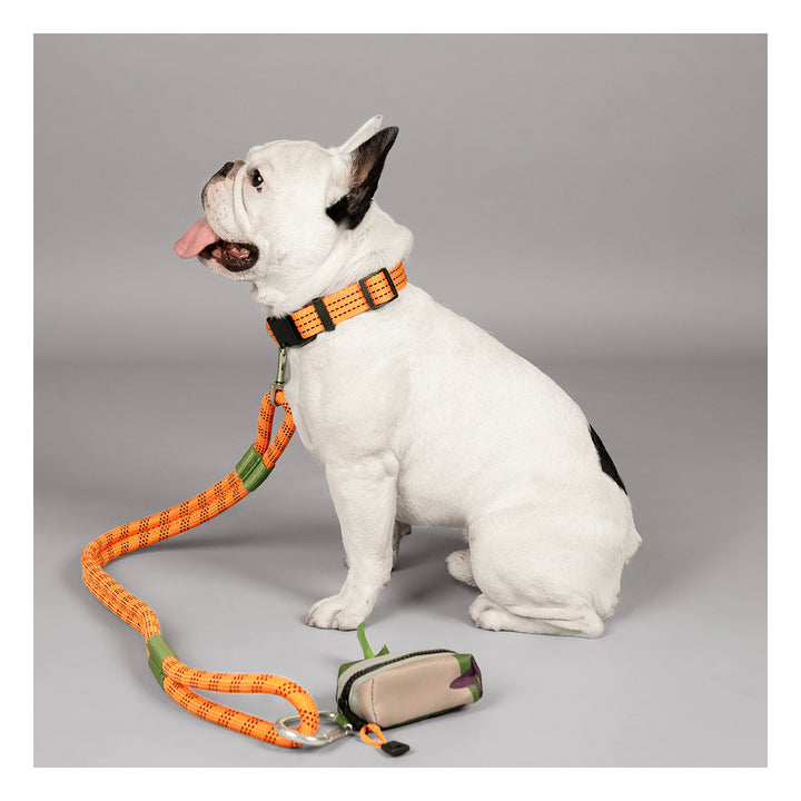 Roverlund Leader of the Pack Leash Little Chief Co